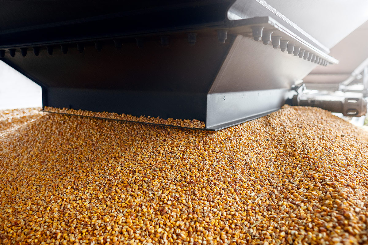 Biofuels | PureField Ingredients Biofuels Low-Carbon Ethanol